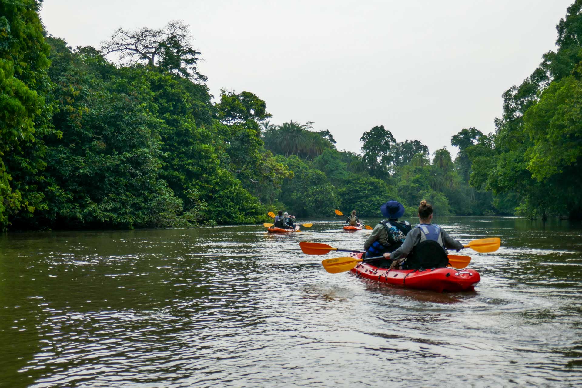 Kamba Africa : quand l’hospitalité devient un outil de conservation